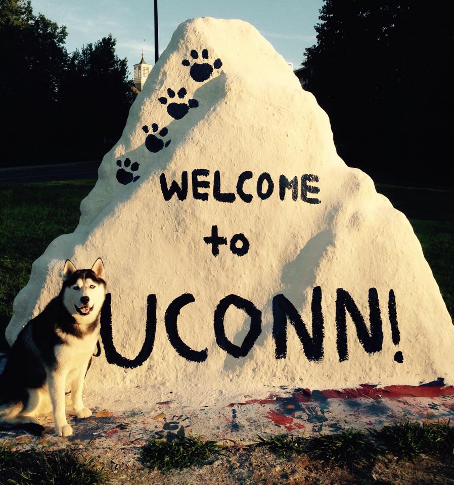 Resources for New Huskies and their Families | Student Health and Wellness