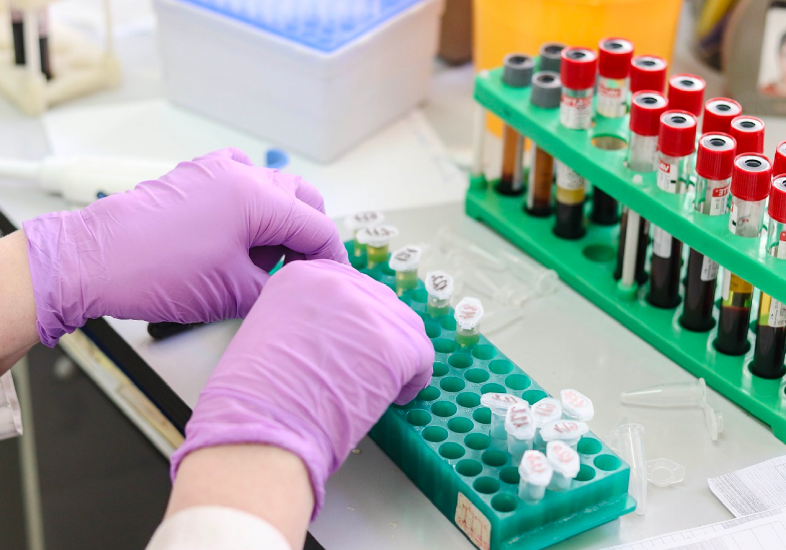 Services | Student Health and Wellness